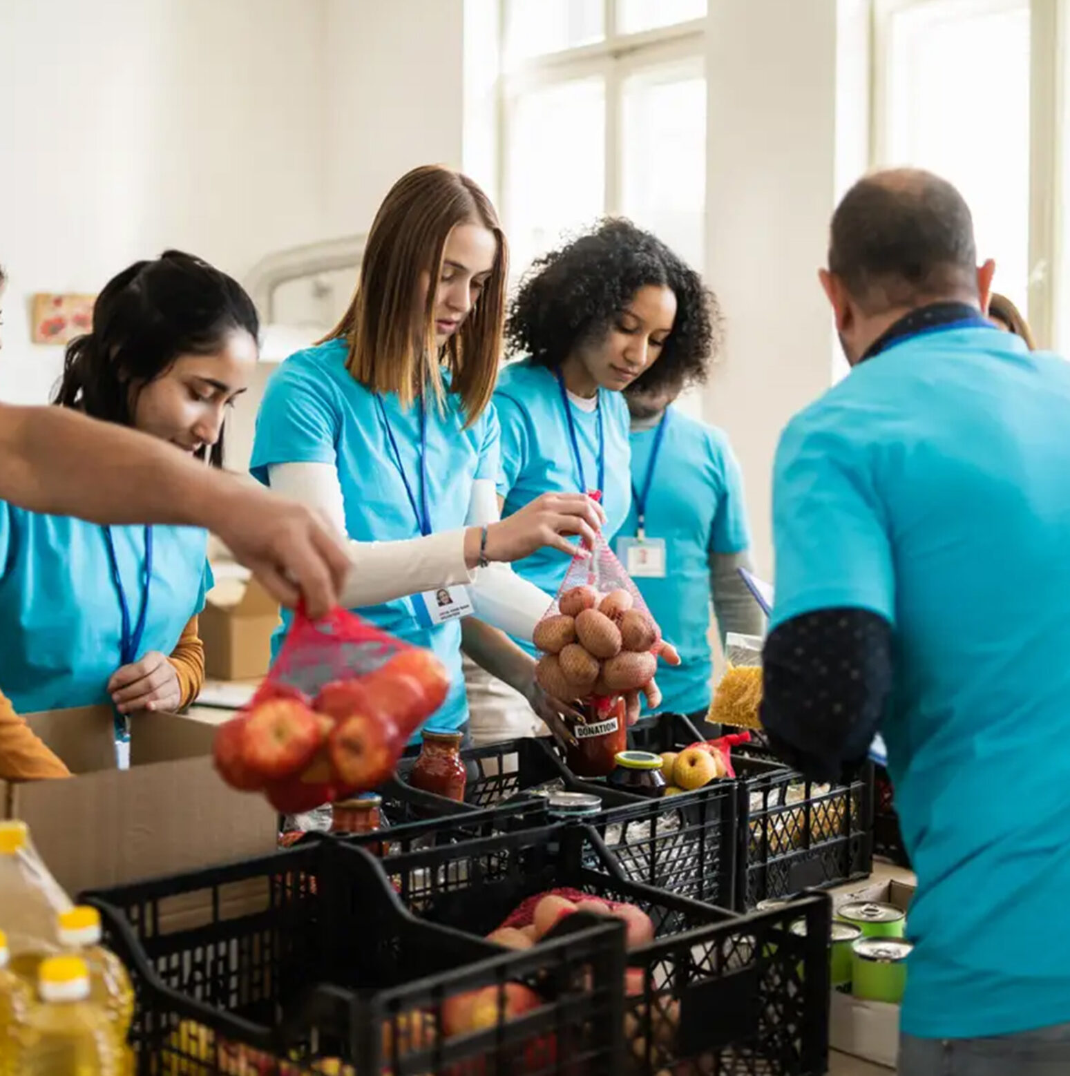 Our Annual 12 Days of Giving Campaign to Support Food Banks